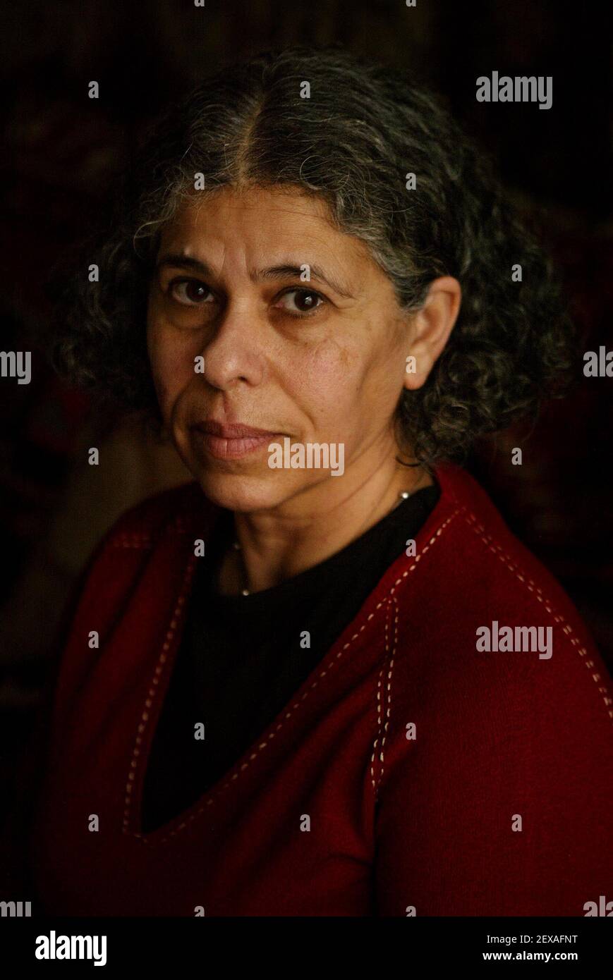 Haifa zangana hi-res stock photography and images - Alamy