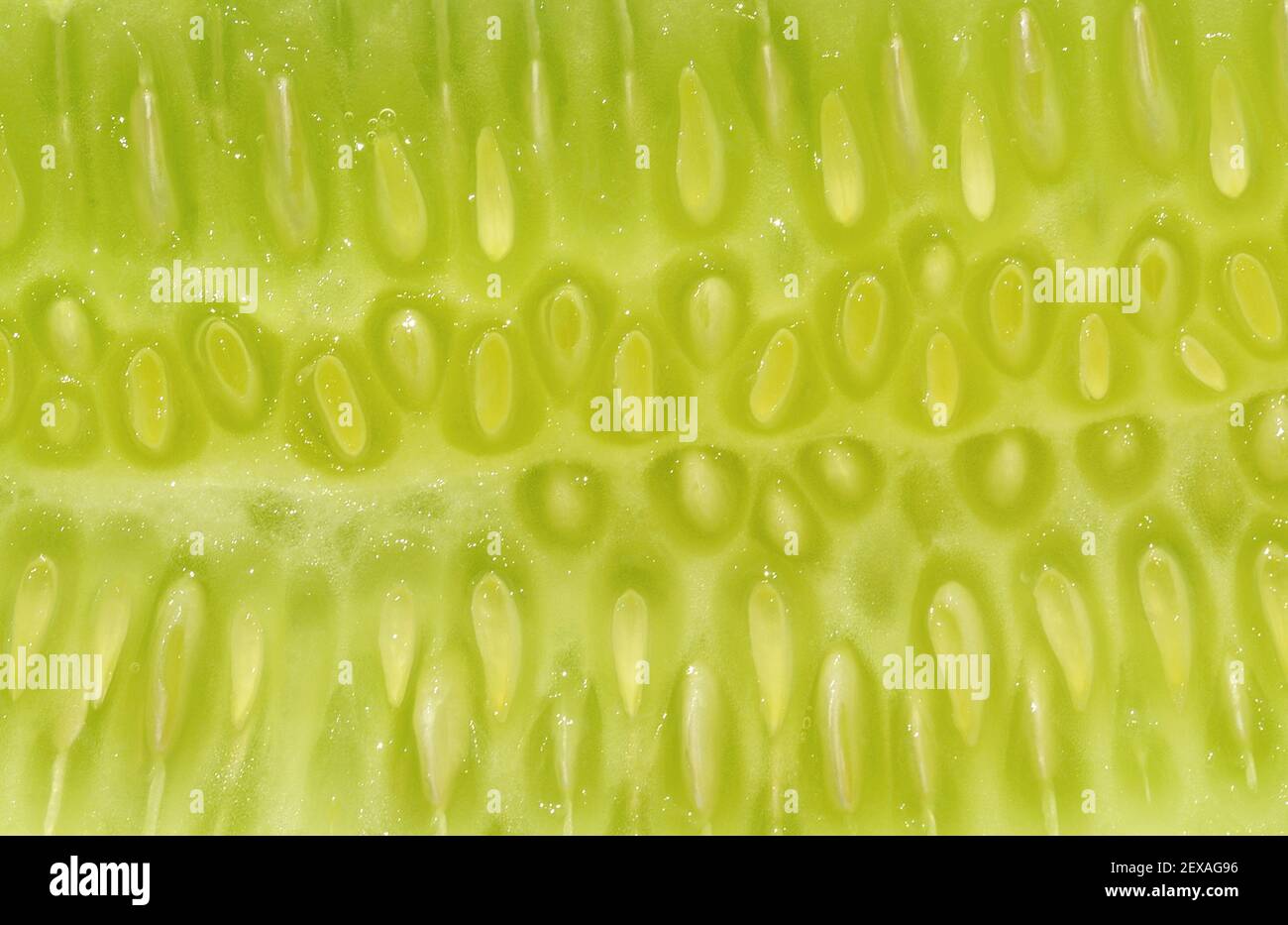 Chopped food texture cut hi-res stock photography and images - Alamy