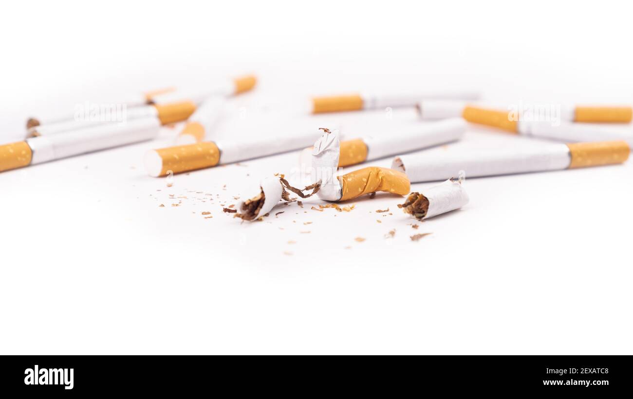broken cigarettes on white background,harm of smoking Stock Photo - Alamy