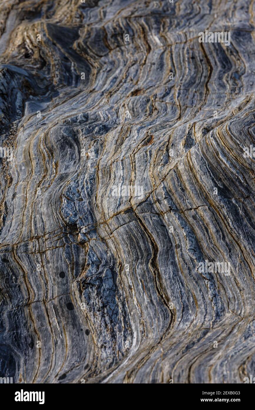 Rock strata background, Roseland Peninsula, Cornwall, UK Stock Photo ...