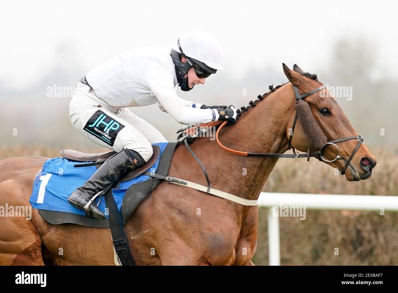 Millie wonnacott jockey hi-res stock photography and images - Alamy