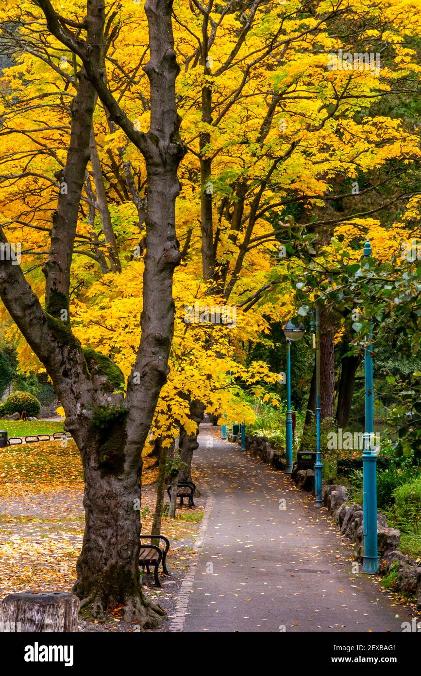 Autumn view of Derwent Gardens in Matlock Bath a hillside village in ...