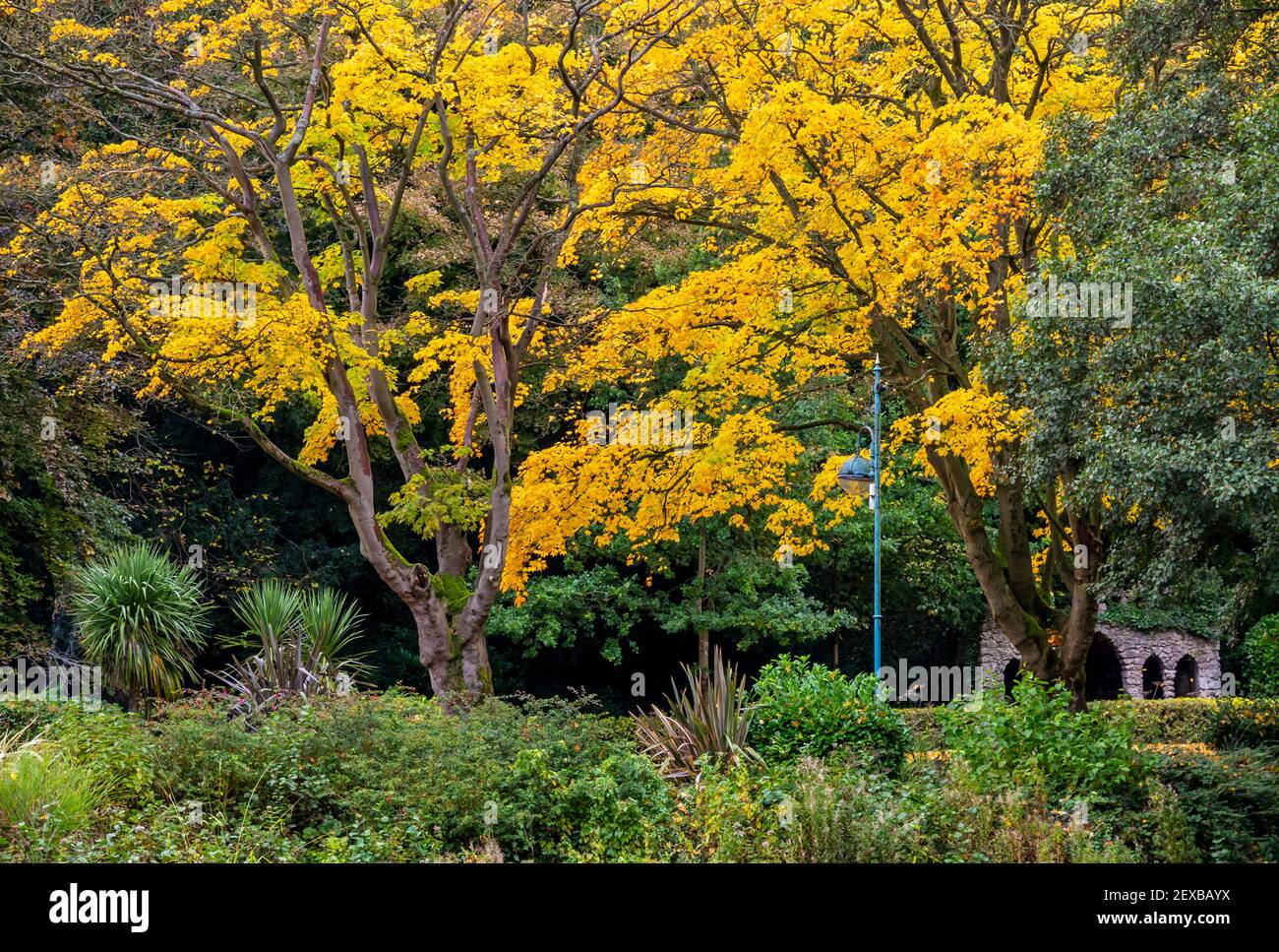 Autumn view of Derwent Gardens in Matlock Bath a hillside village in ...