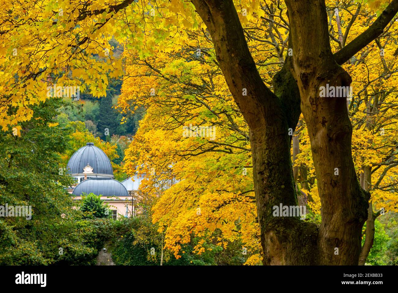 Autumn view of Derwent Gardens and the Grand Pavilion in Matlock Bath a ...