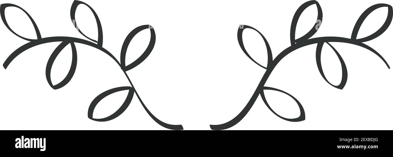 hand draw branches leaves minimalist Stock Vector Image & Art - Alamy