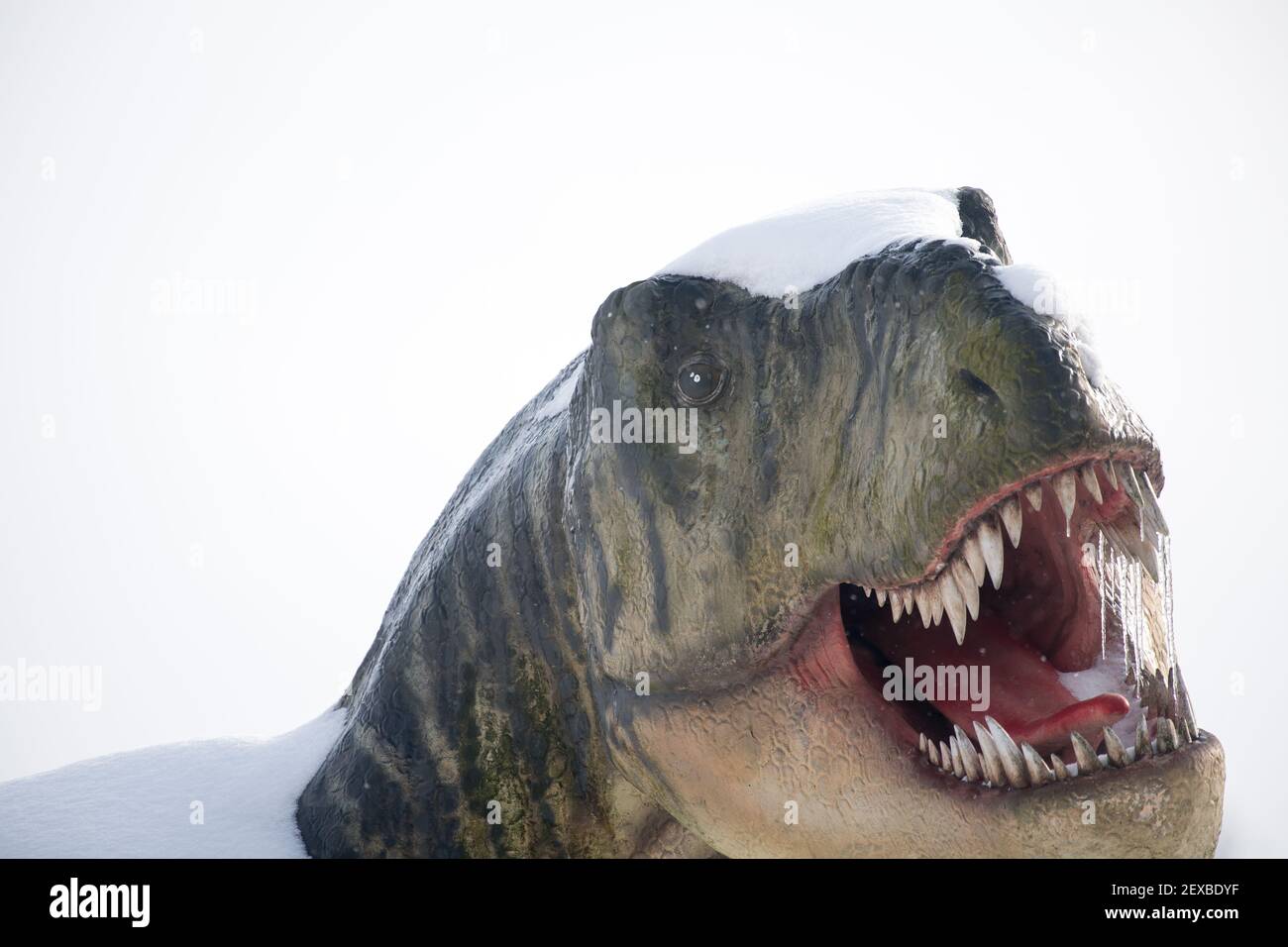 T rex life size model hi-res stock photography and images - Alamy