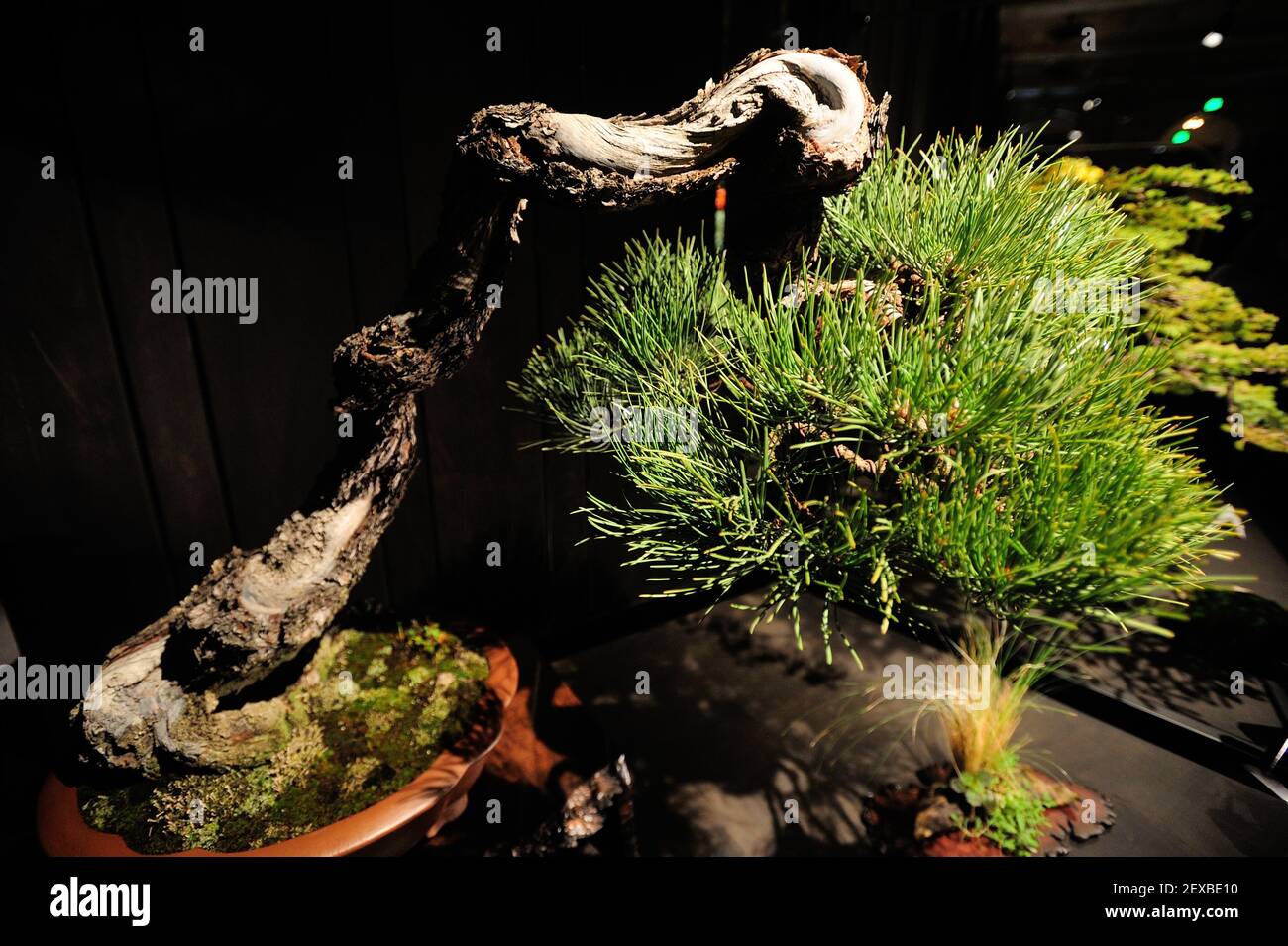 The Artisans Cup, held at the Portland Art Museum in Portland, Ore ...