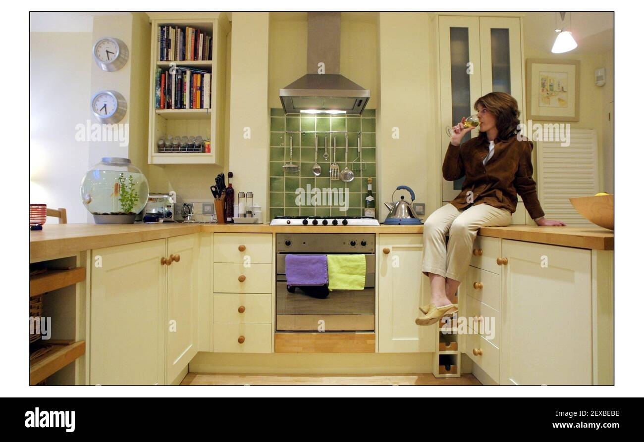 The home in Southfields, South West London of Liz and Francis Neo.pic ...