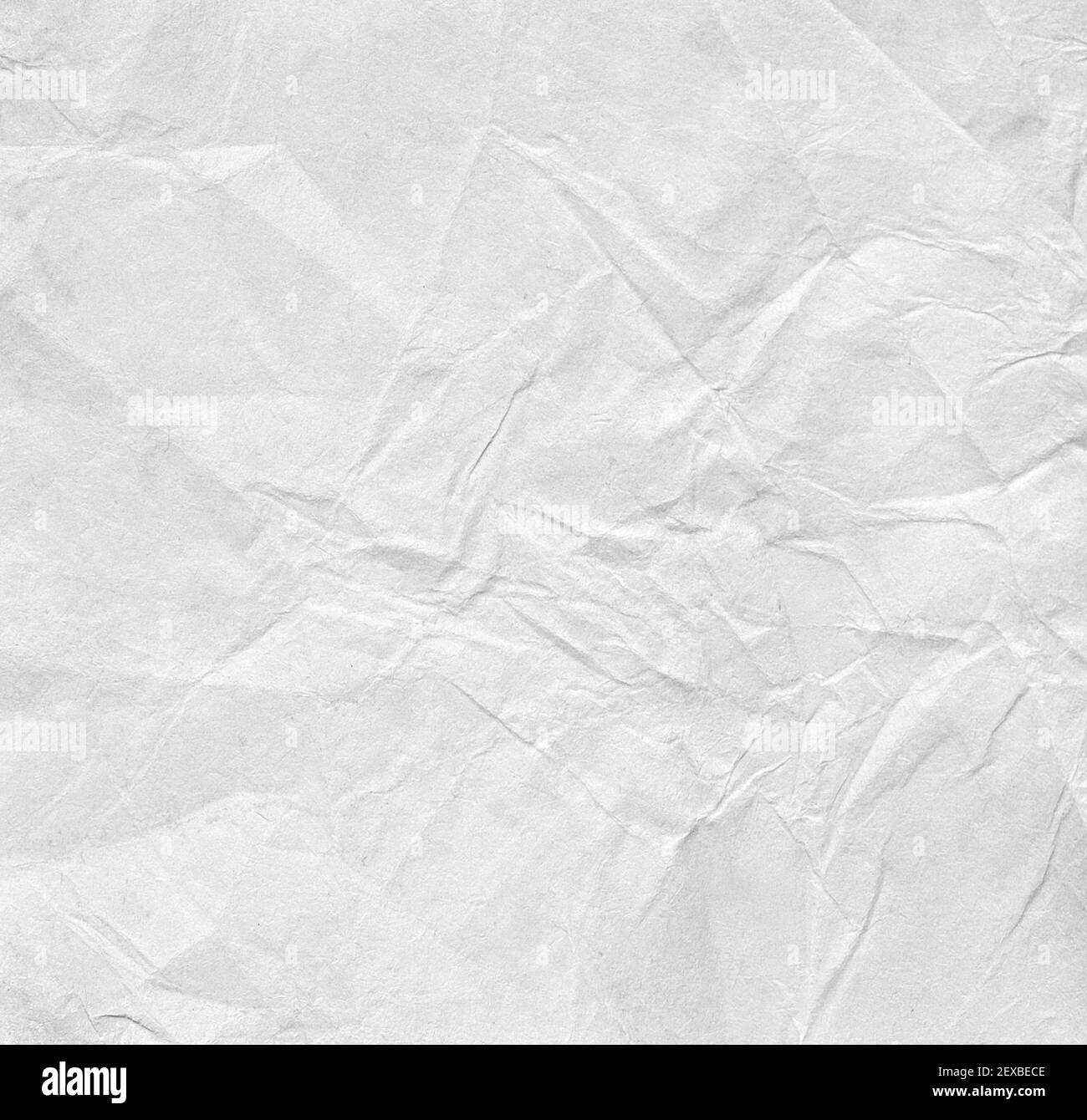 Torn paper texture Black and White Stock Photos & Images - Alamy