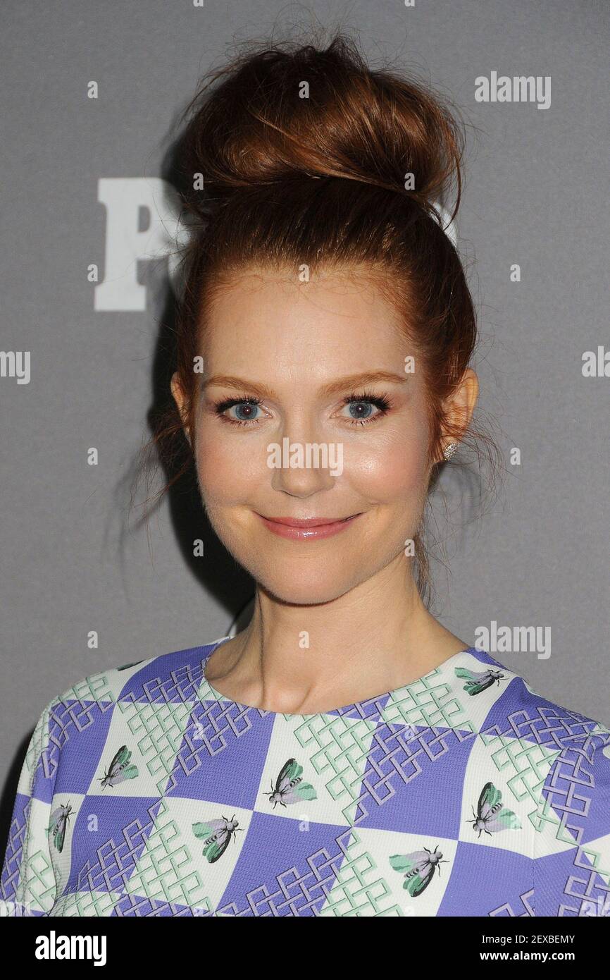 26 September 2015 - West Hollywood, California - Darby Stanchfield. ABC ...