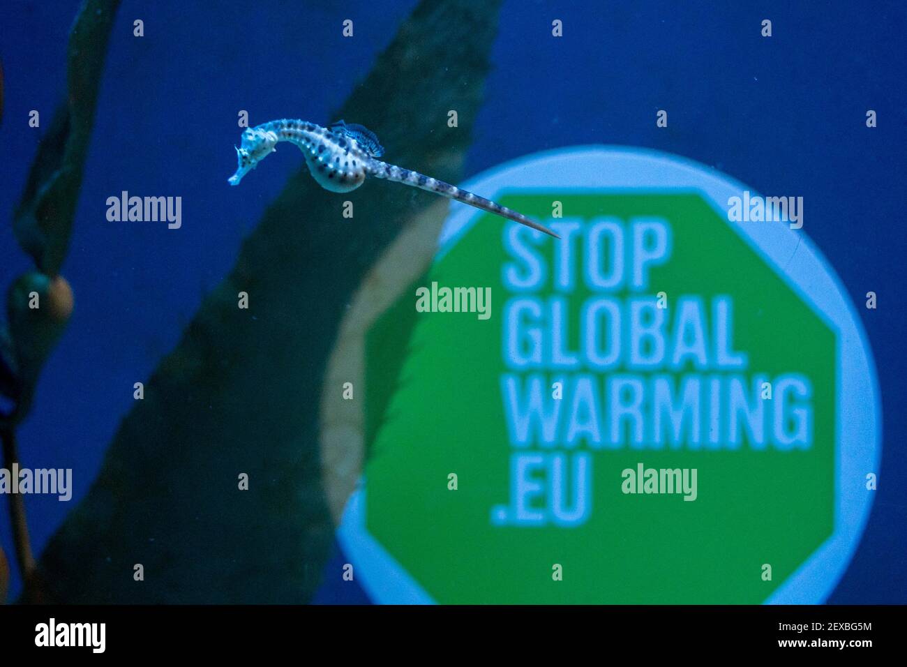 Stop global warming background hi-res stock photography and images - Alamy