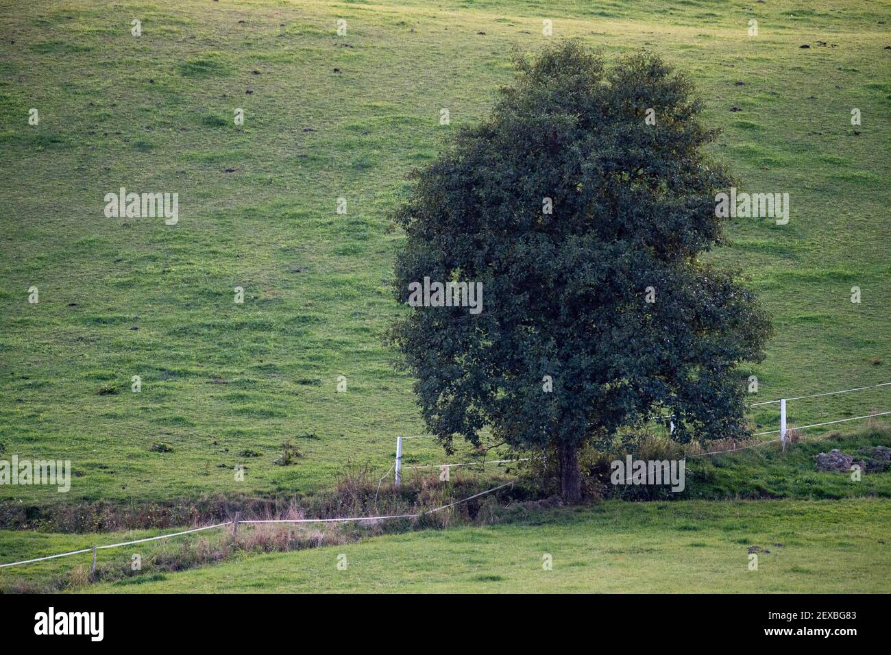 Field in Poland. September 21st 2020 © Wojciech Strozyk / Alamy Stock ...
