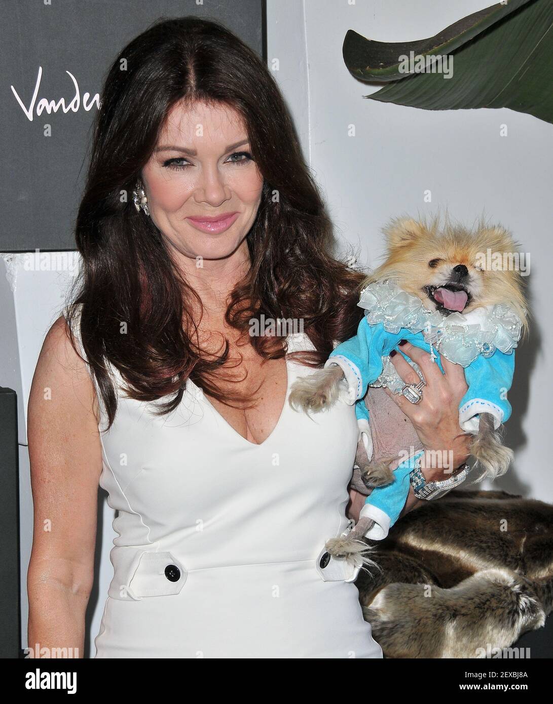 Lisa Vanderpump and her dog Giggy arrives at the Women Of EVINE Live ...