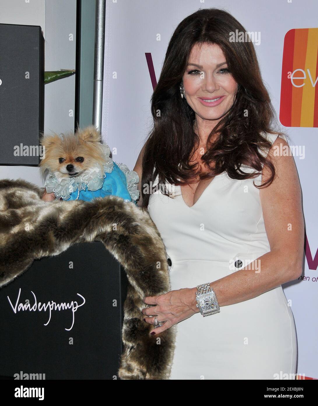 Lisa Vanderpump and her dog Giggy arrives at the Women Of EVINE Live ...