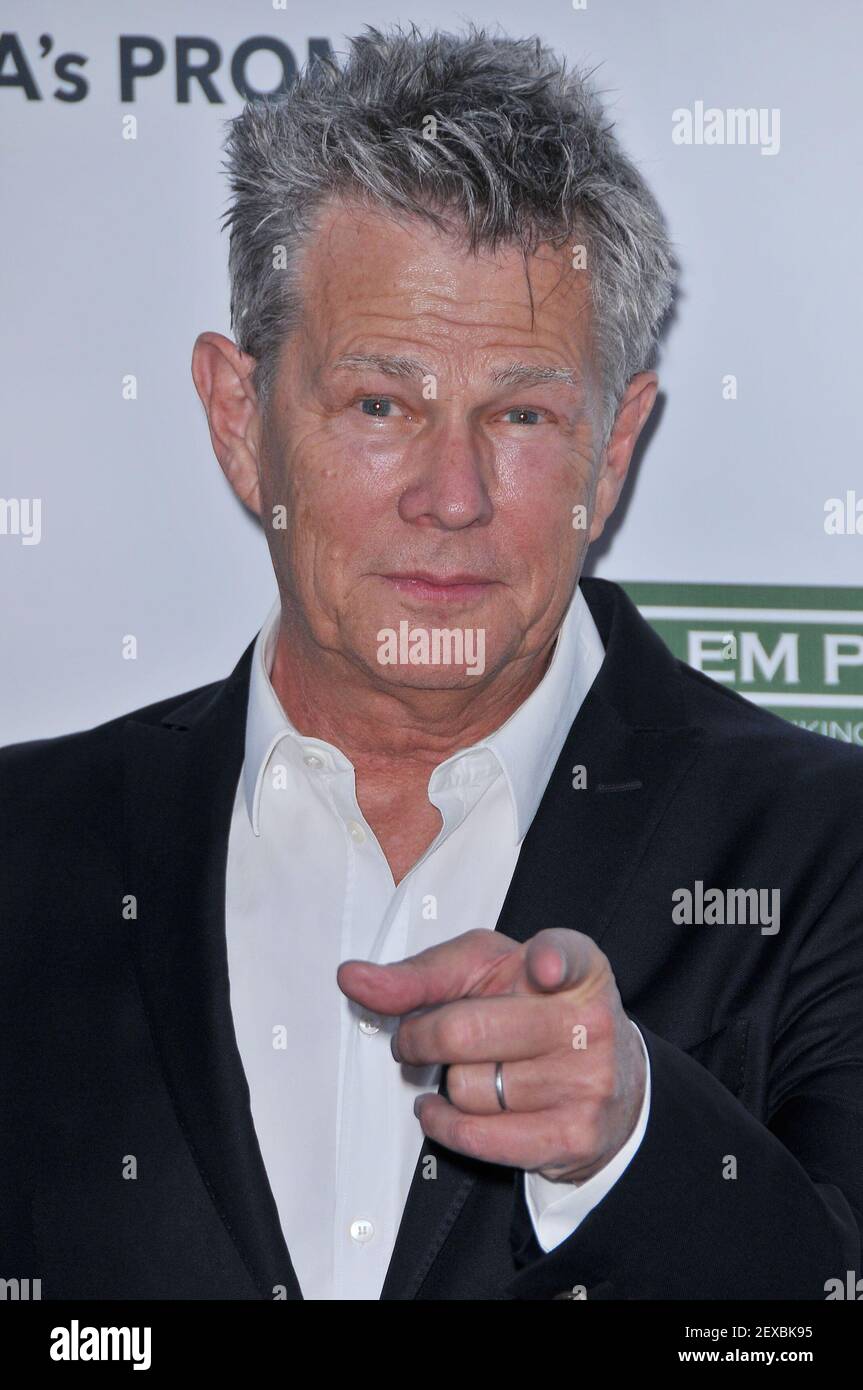 David Foster arrives at the 2015 LAâ€™s Promise Gala held at the ...