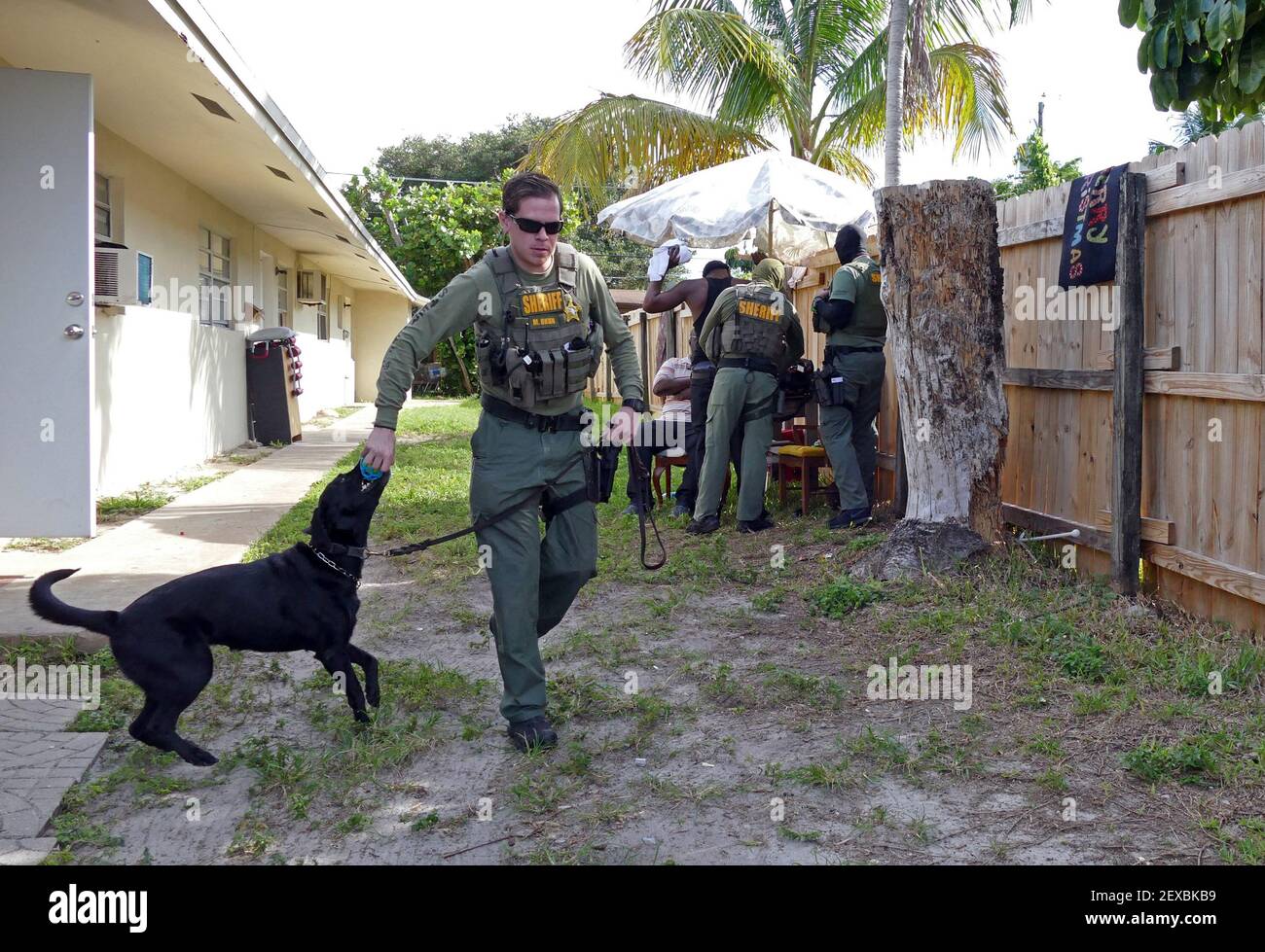 Broward Sheriff's Office K9 officer Michael Okun rewards his K9 drug ...
