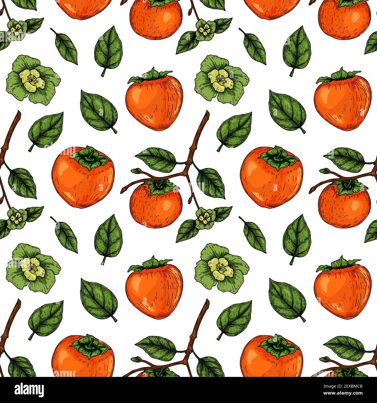 Colorful seamless pattern with hand drawn persimmon. Vector ...