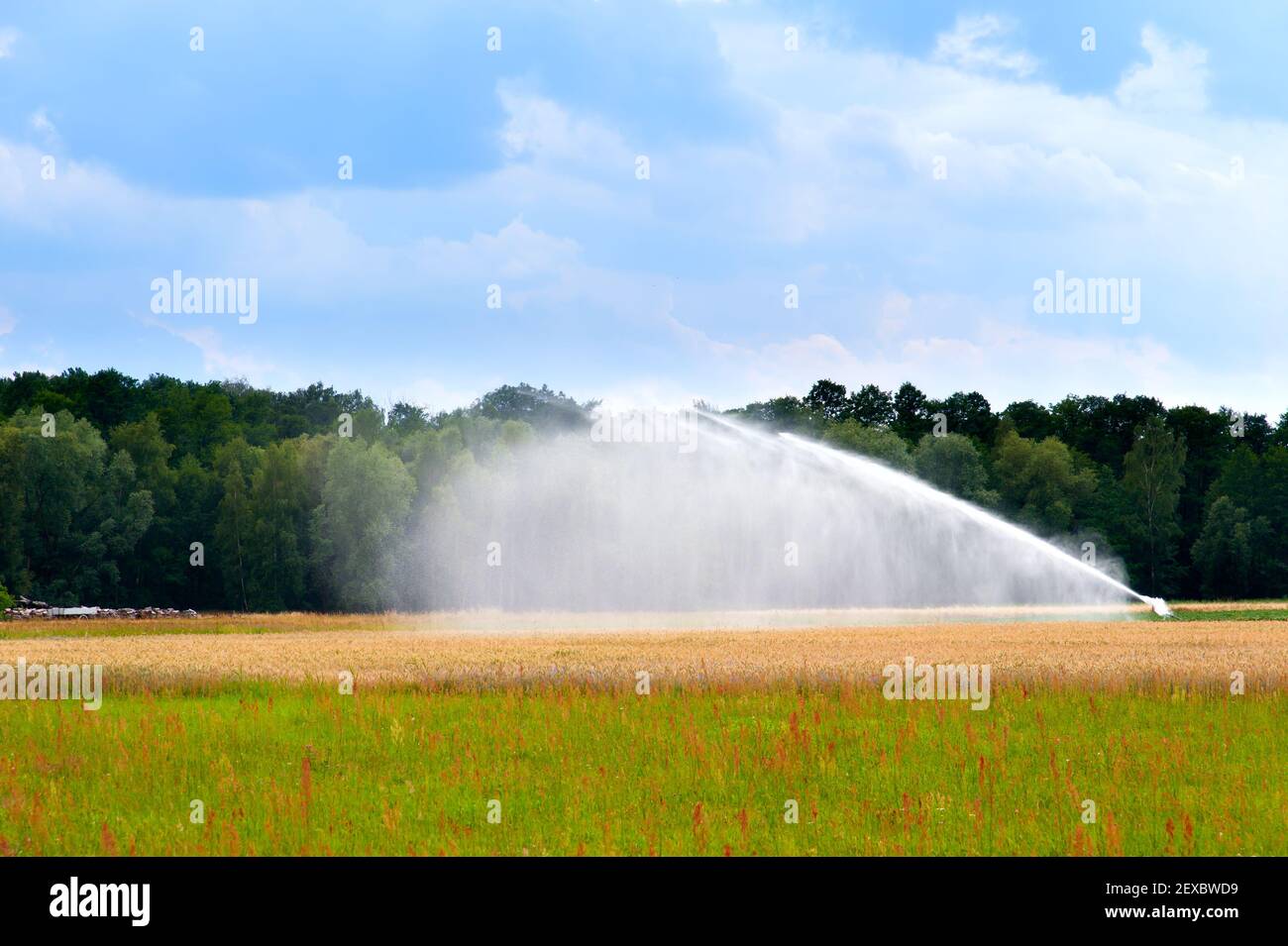 Field with irrigation system Stock Photo - Alamy