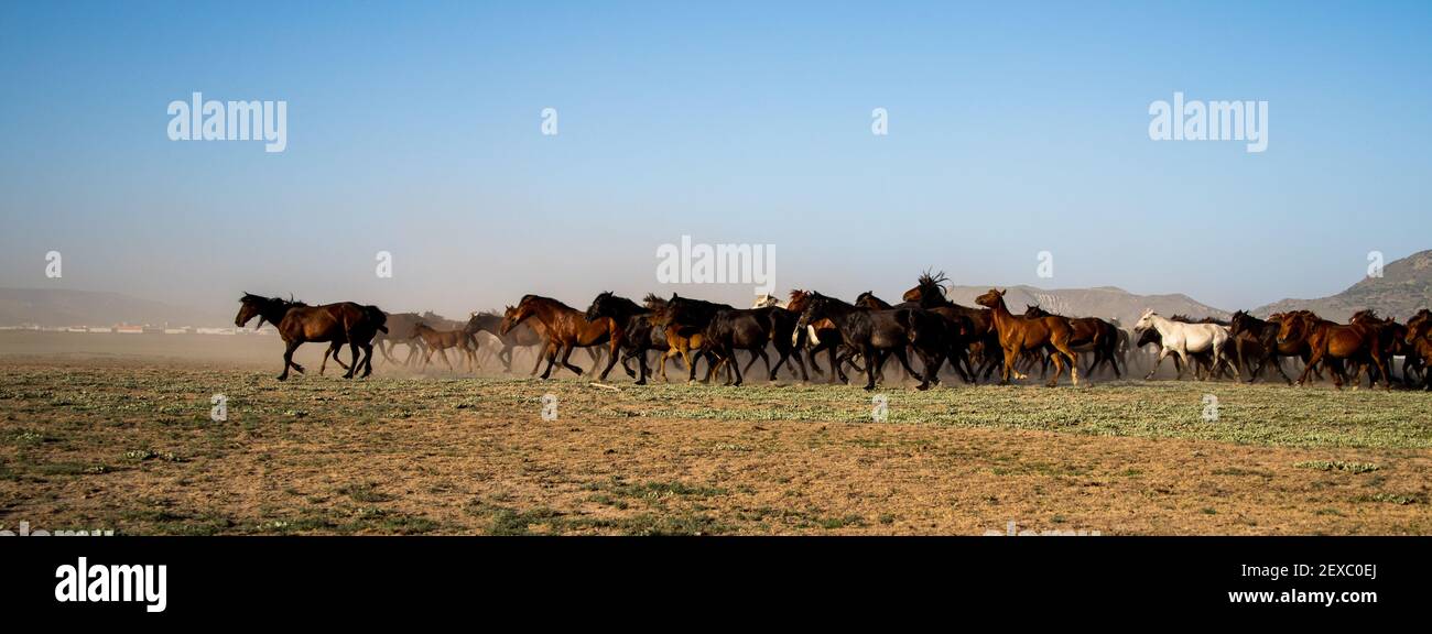 Loose motion hi-res stock photography and images - Alamy