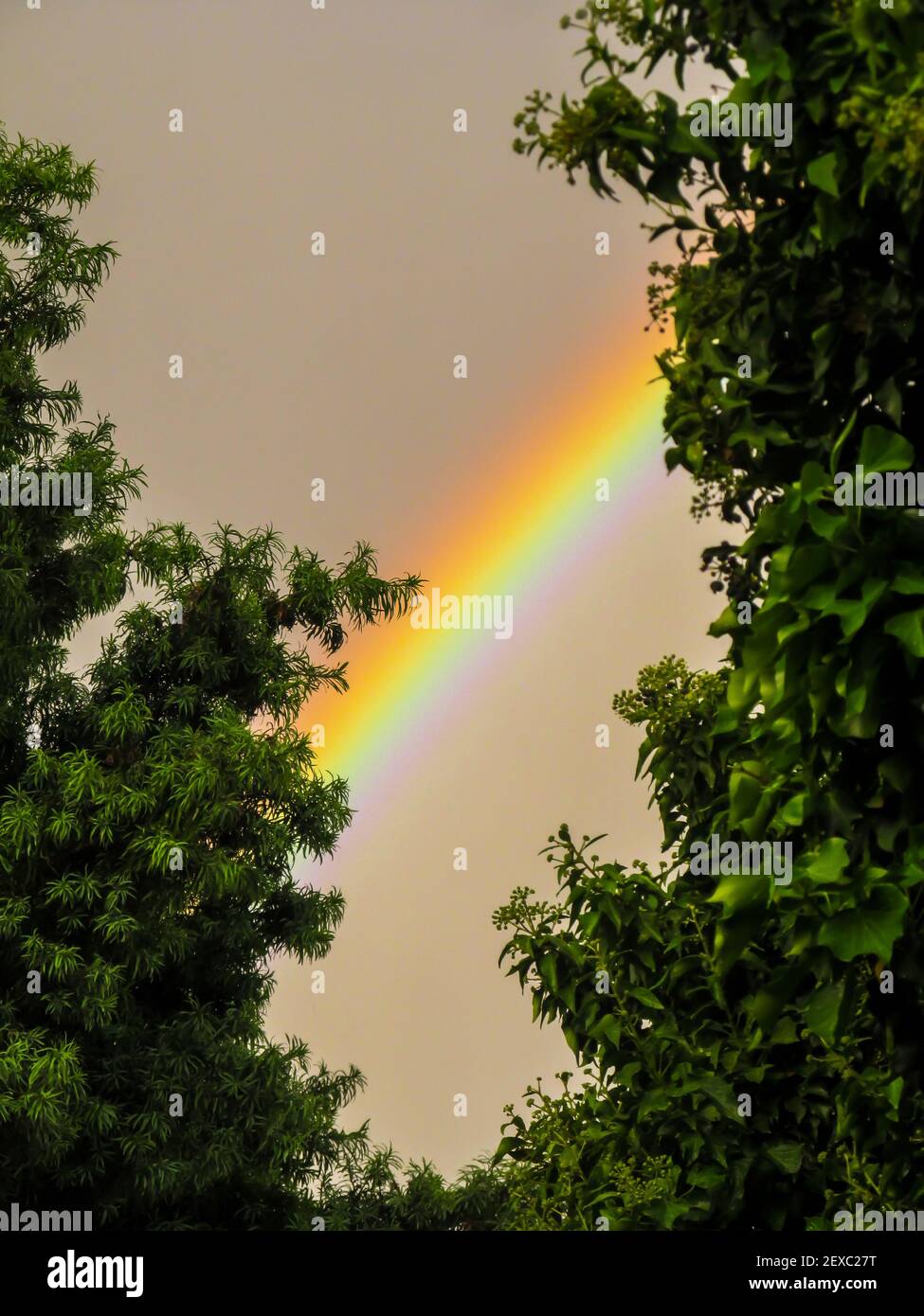 A partial Rainbow, in the Late afternoon, visible between the lush ...