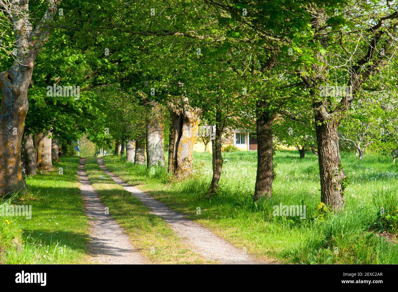 Old farmhouse lane hi-res stock photography and images - Alamy