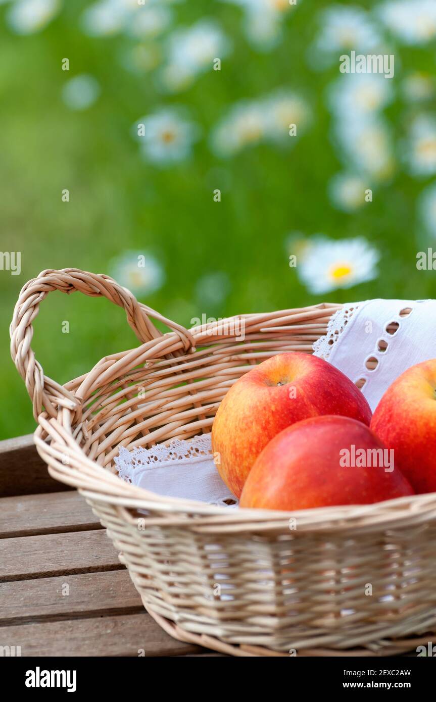 Basket with apples Stock Photo - Alamy