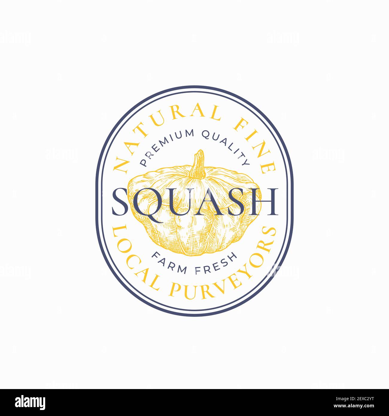 Squash Frame Badge or Logo Template. Hand Drawn Vegetable Sketch with ...