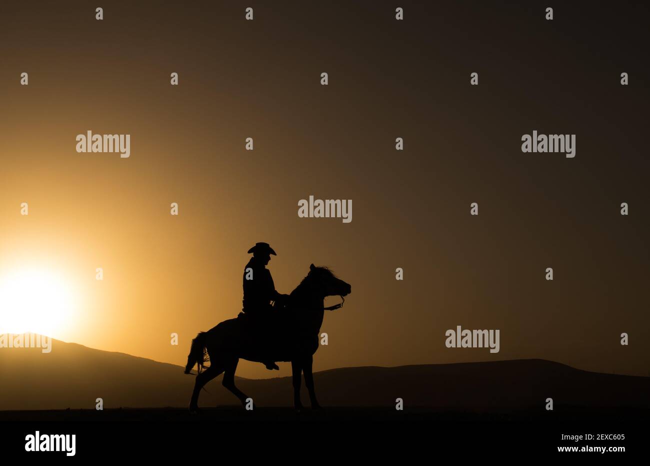 horse, cowboy, at sunset Stock Photo - Alamy