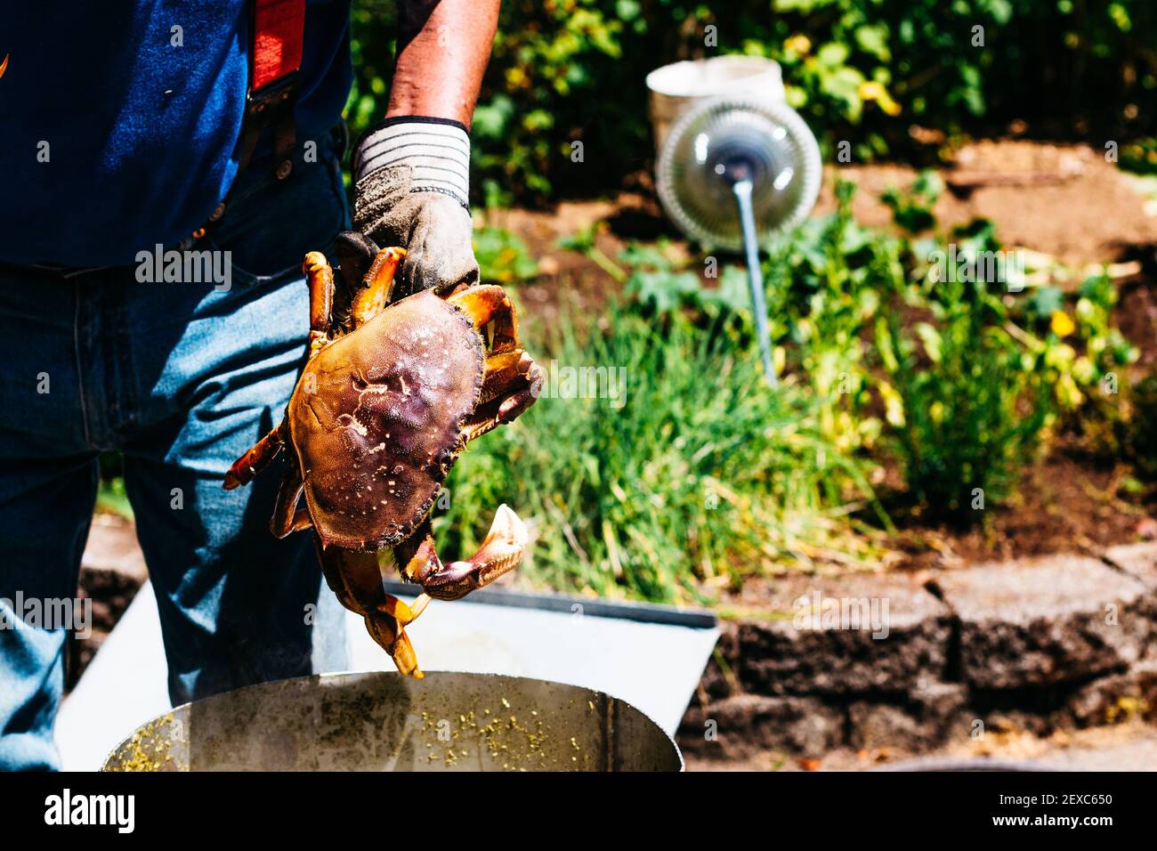 Dungeness crab pot hi-res stock photography and images - Alamy