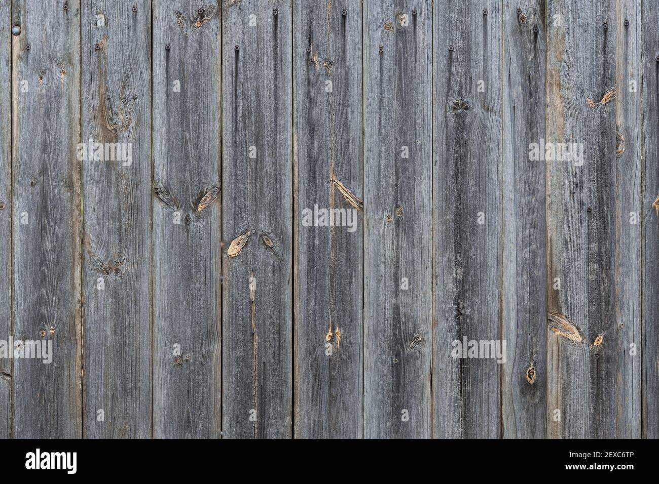 A Wood Boarding for using as background, wallpaper , an intresting ...