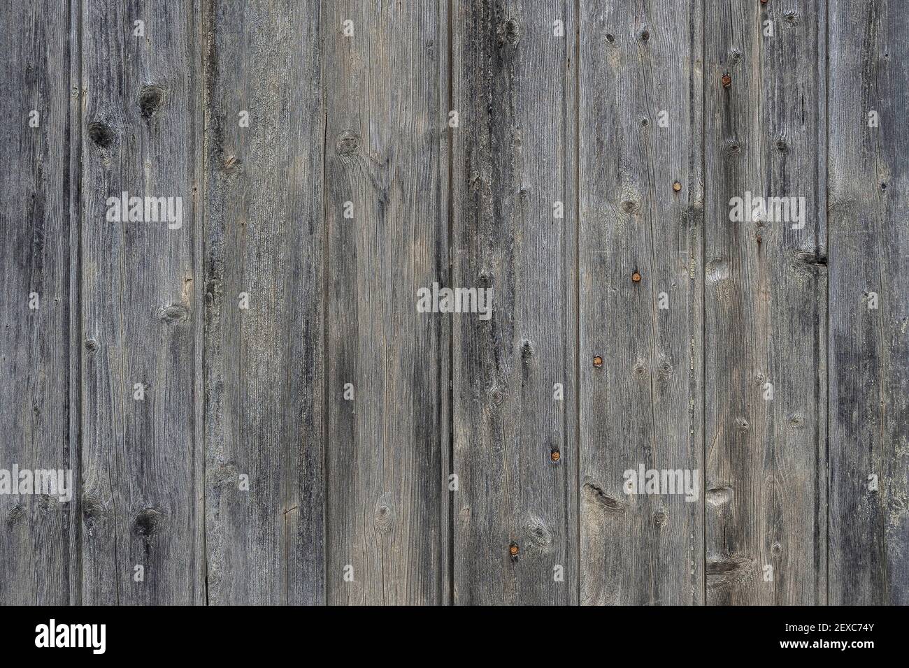 A Wood Boarding for using as background, wallpaper , an intresting ...