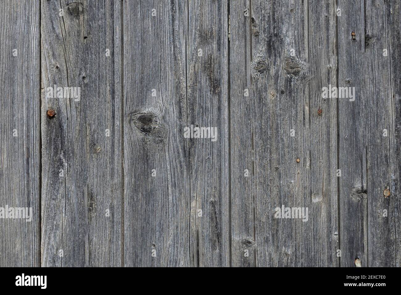 A Wood Boarding for using as background, wallpaper , an intresting ...