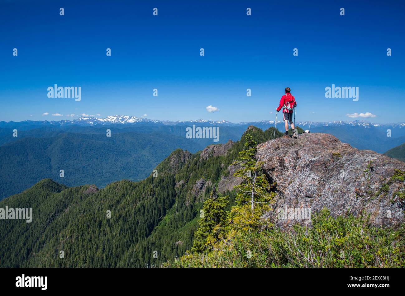 A man climbs a mountain in the Colonel Bob Wilderness on the Olympic ...