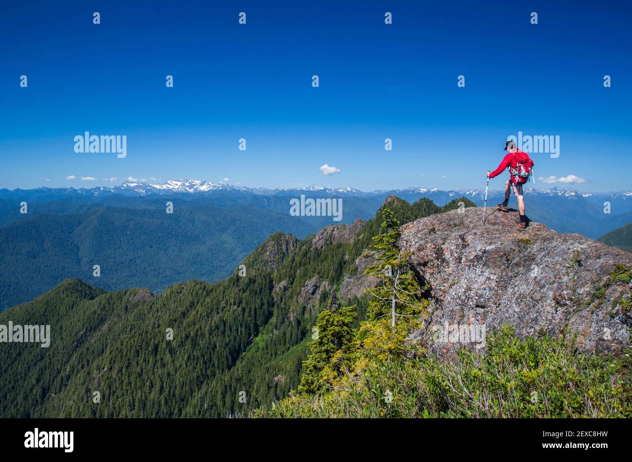 A man climbs a mountain in the Colonel Bob Wilderness on the Olympic ...