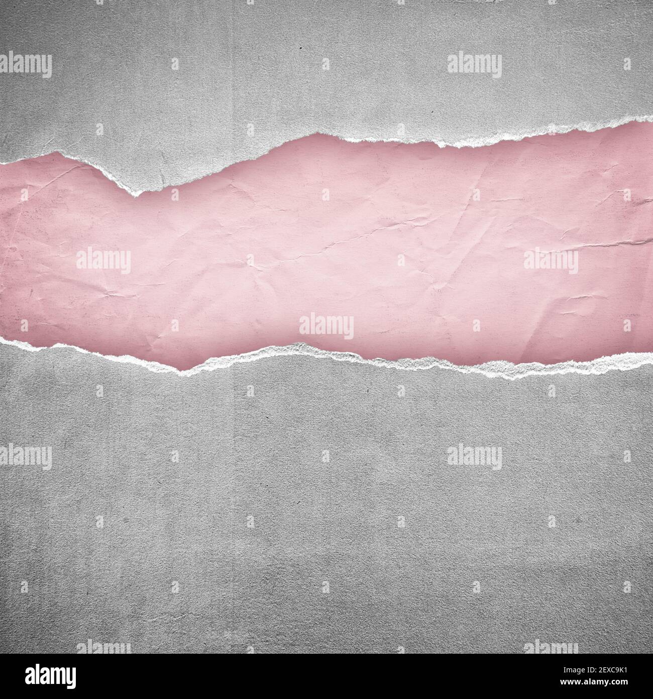 Rip gray end light pink paper background Stock Photo - Alamy