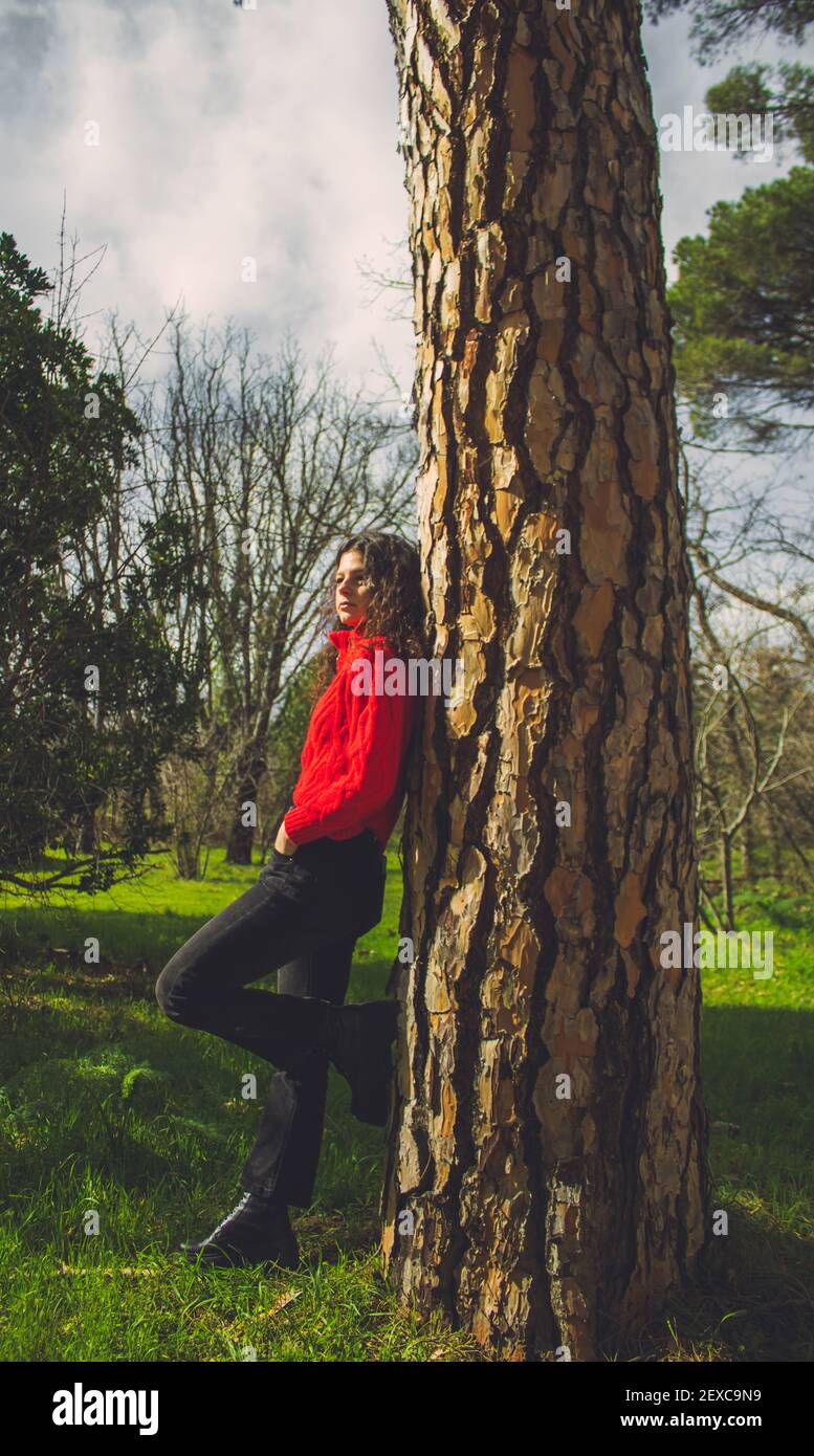 Leaning pine tree hi-res stock photography and images - Alamy