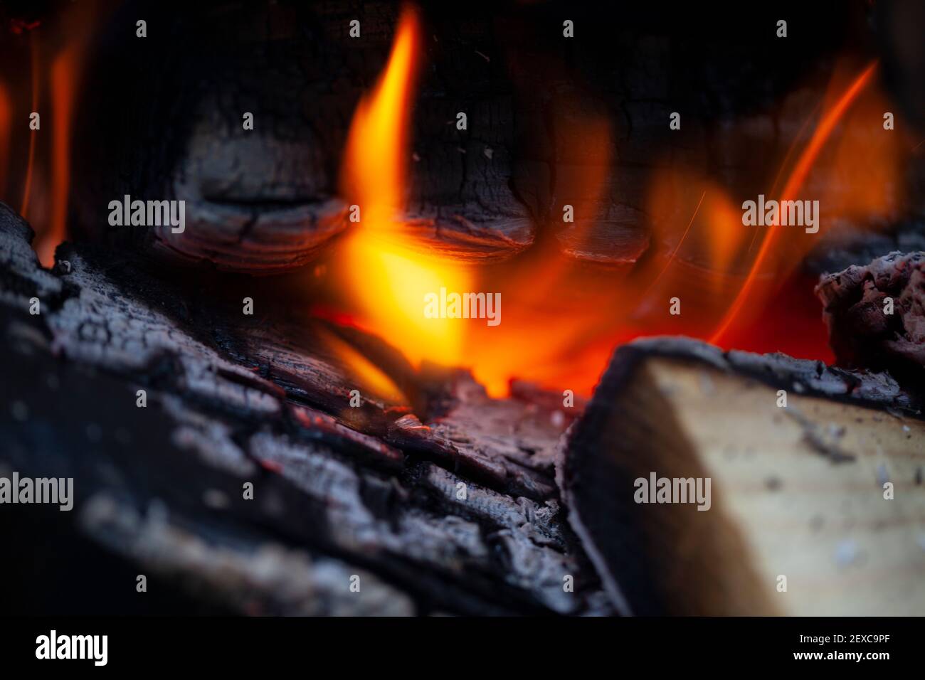 Close up of fire embers.Wood burning on a campfire Stock Photo - Alamy