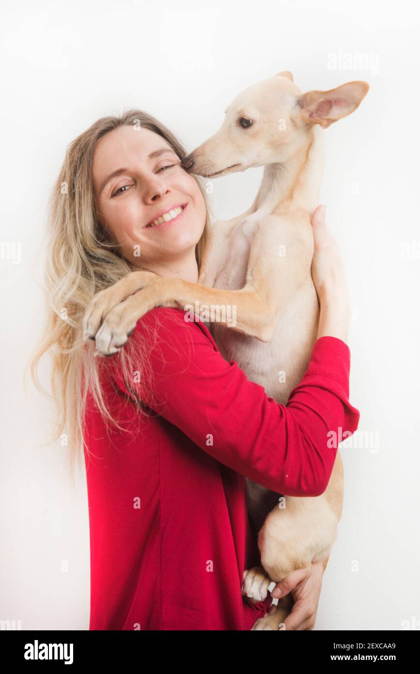 Mini greyhound hi-res stock photography and images - Alamy