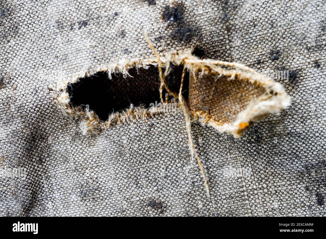 Torn Canvas High Resolution Stock Photography and Images - Alamy