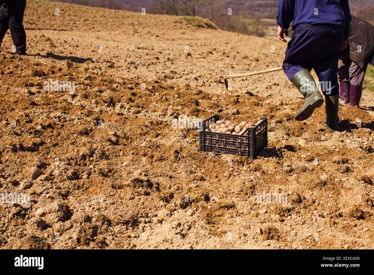 Successful farming is a hard family business Stock Photo - Alamy