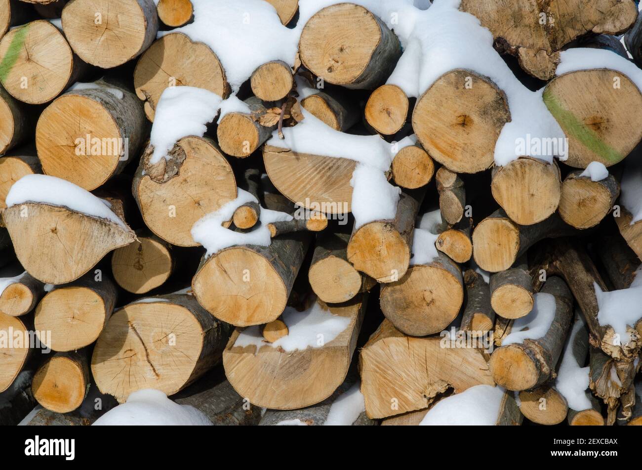 Stack of wooden logs covered with pure snow. Firewood With Snow Stock ...