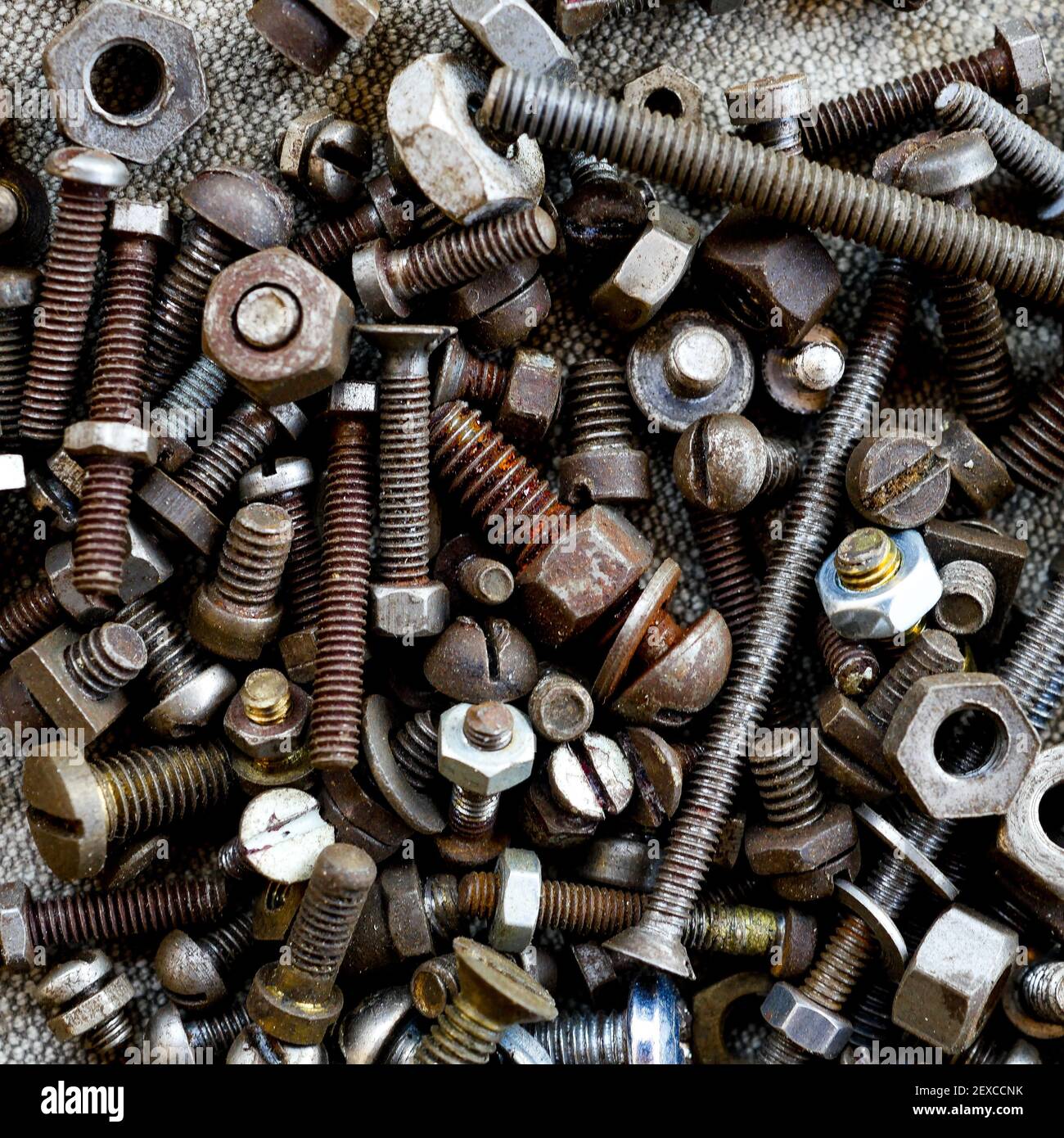 Old screws, France Stock Photo - Alamy