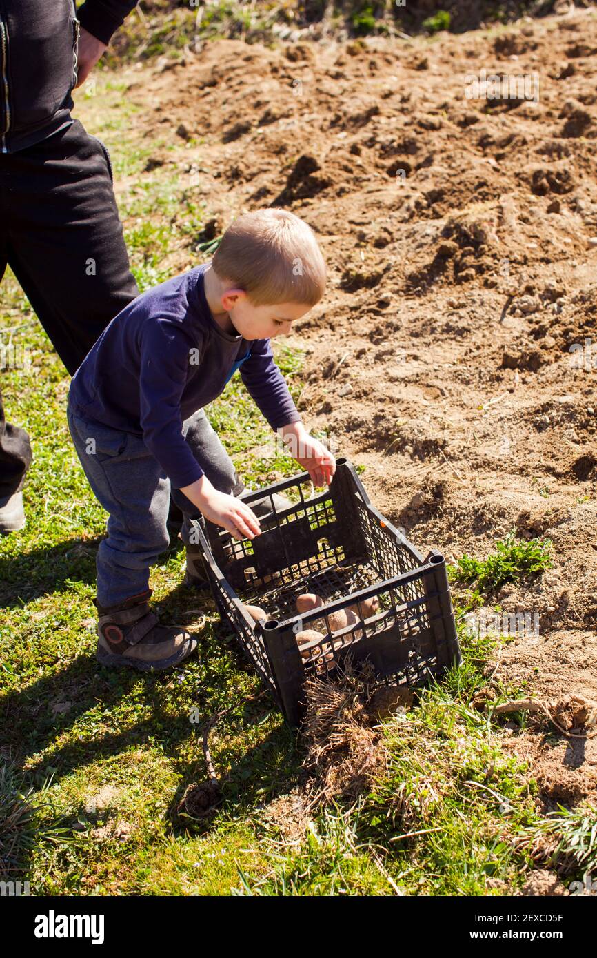 The help of little helpers is priceless Stock Photo - Alamy