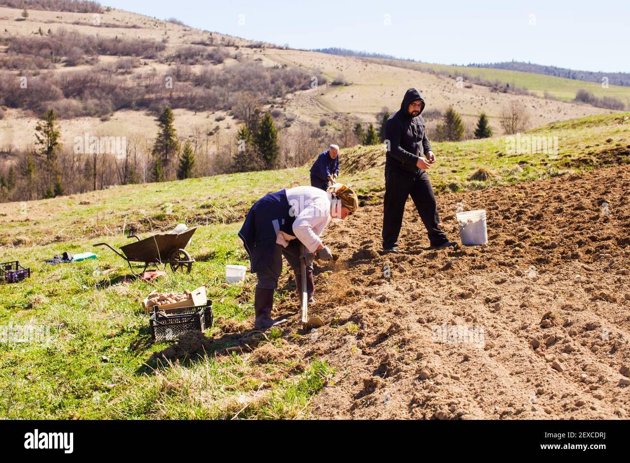 Successful farming is a hard family business Stock Photo - Alamy