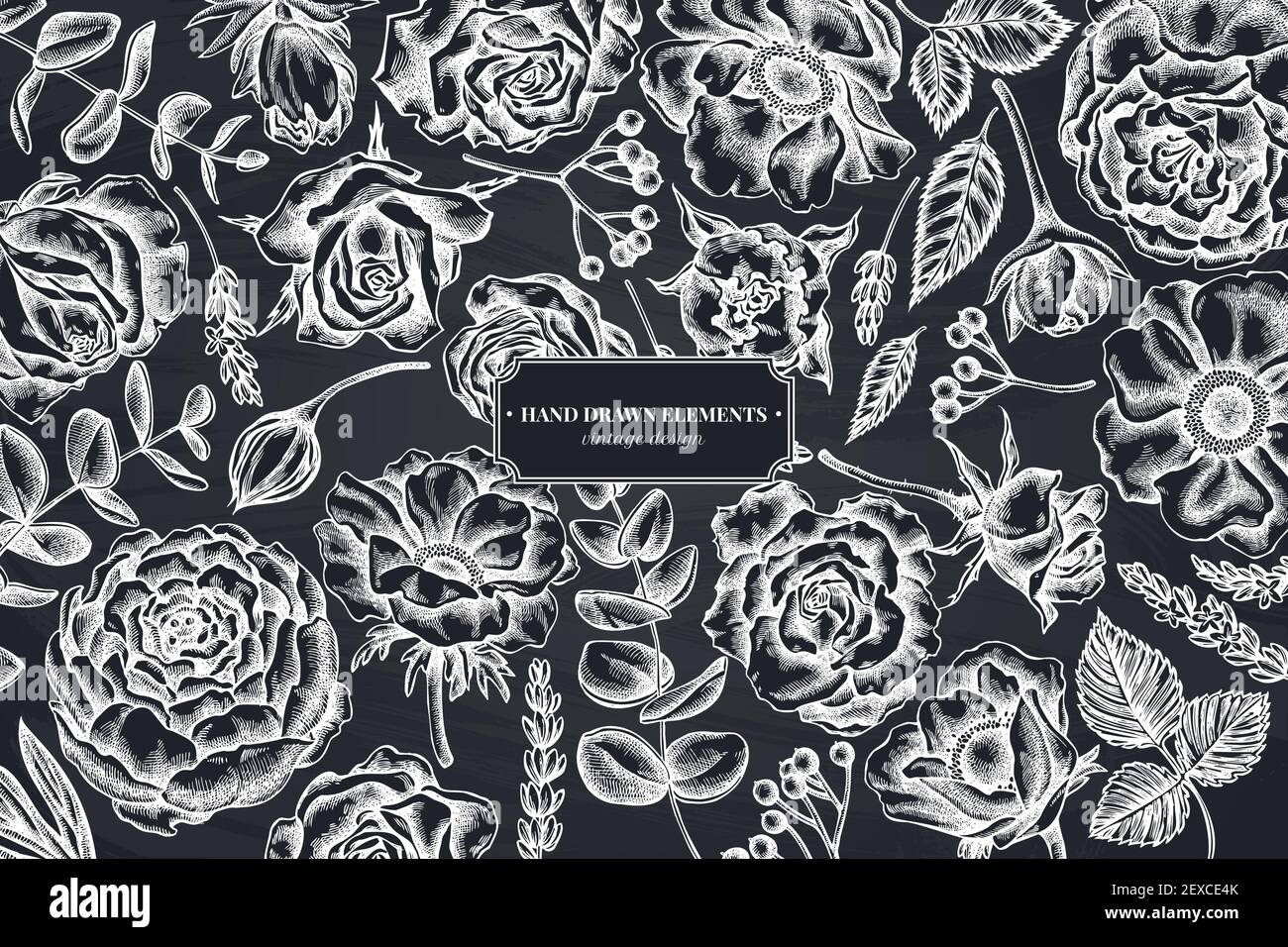 Floral design with chalk roses, anemone, eucalyptus, lavender, peony, viburnum Stock Vector ...