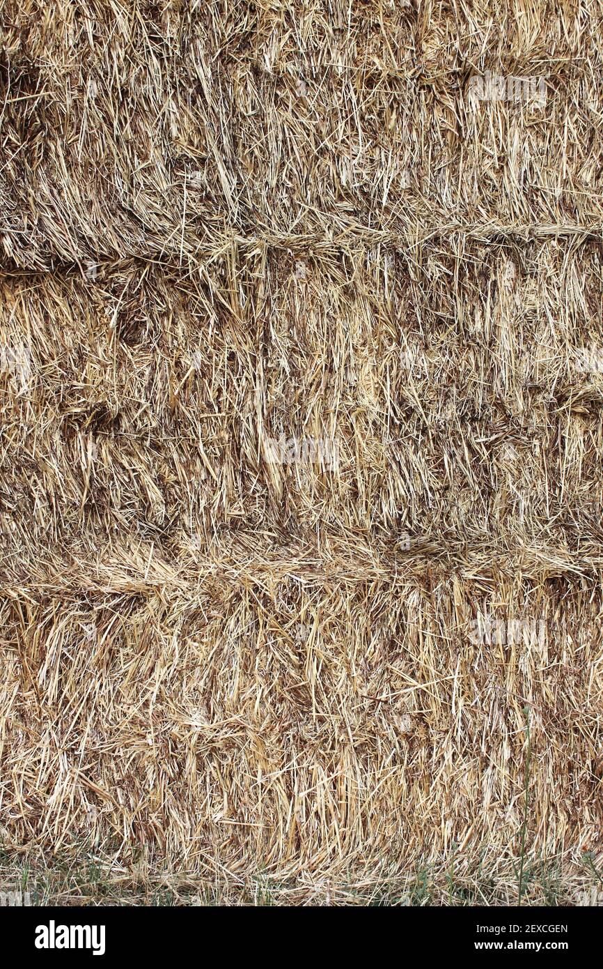 Square hay bales hi-res stock photography and images - Alamy