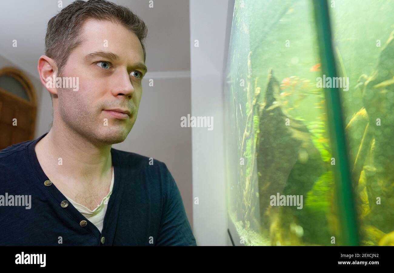 Choosing fish aquarium hi-res stock photography and images - Alamy