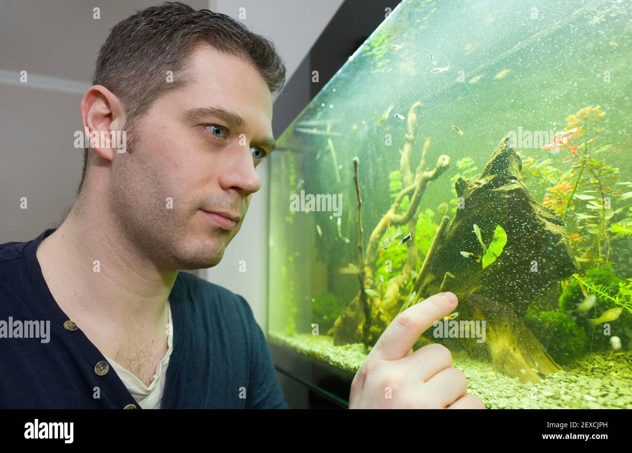 Person home aquarium hi-res stock photography and images - Alamy