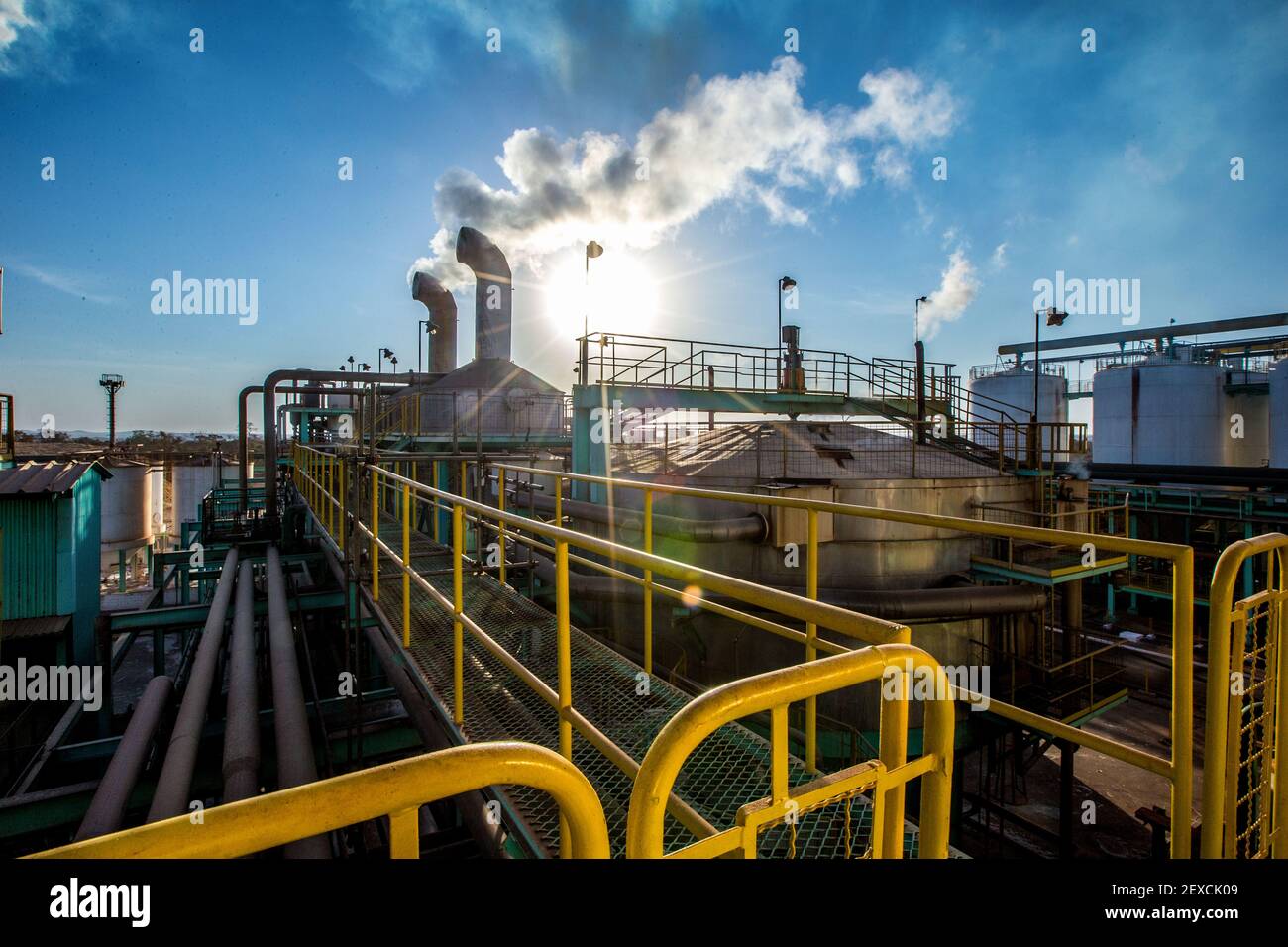 Biofuels production facility in Brazil Stock Photo - Alamy