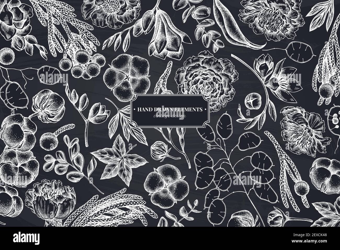 Ficus elastica natural plant Stock Vector Images - Alamy